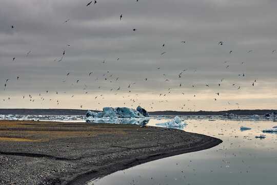 Galce Images – Browse 62 Stock Photos, Vectors, and Video | Adobe Stock