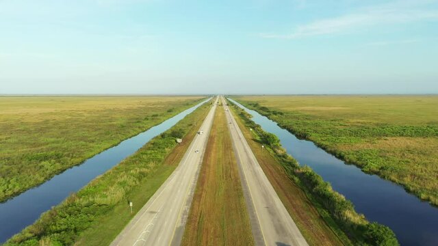 "Alligator Alley" Images – Browse 194 Stock Photos, Vectors, and Video ...