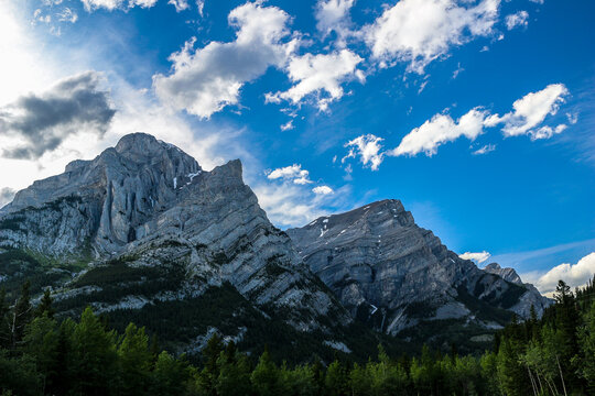 Galatea Images – Browse 411 Stock Photos, Vectors, and Video | Adobe Stock