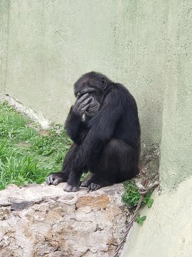 Reflexionando Images – Browse 174 Stock Photos, Vectors, and Video ...