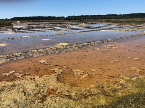 รูปภาพDigues – เลือกดูภาพถ่ายสต็อก เวกเตอร์ และวิดีโอ382 | Adobe Stock