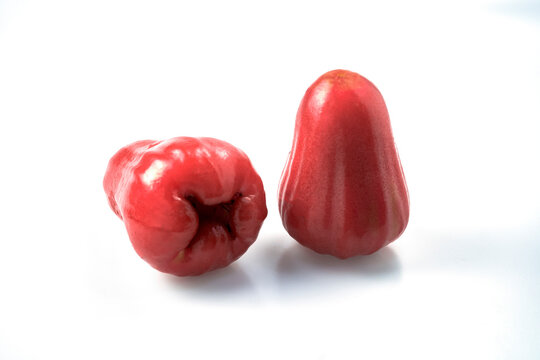 รูปภาพChompu – เลือกดูภาพถ่ายสต็อก เวกเตอร์ และวิดีโอ237 | Adobe Stock