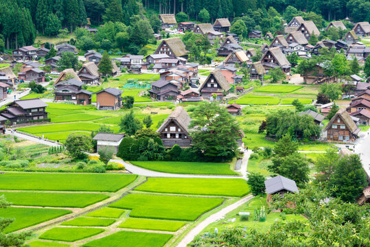 รูปภาพZukuri – เลือกดูภาพถ่ายสต็อก เวกเตอร์ และวิดีโอ1,508 | Adobe Stock