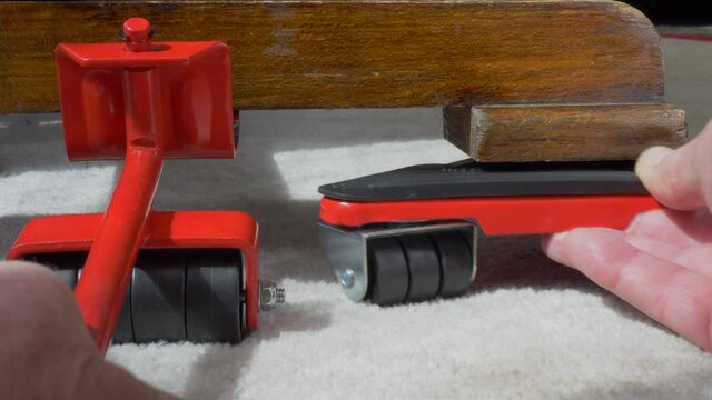 รูปภาพCastors – เลือกดูภาพถ่ายสต็อก เวกเตอร์ และวิดีโอ18,489 | Adobe Stock