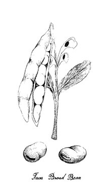 Fave Images – Browse 46 Stock Photos, Vectors, and Video | Adobe Stock