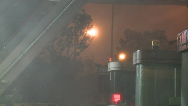 Saola Images – Browse 133 Stock Photos, Vectors, and Video | Adobe Stock