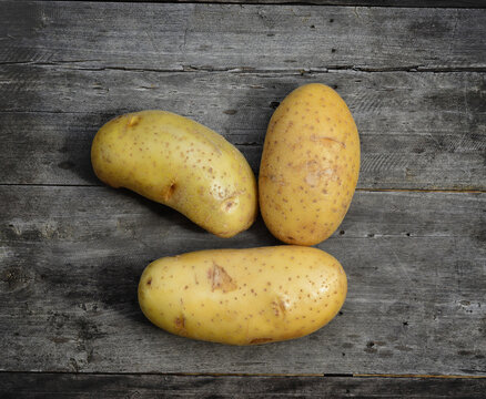 รูปภาพPatato – เลือกดูภาพถ่ายสต็อก เวกเตอร์ และวิดีโอ1,250 | Adobe Stock