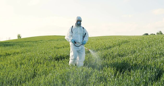 Fumigating Images – Browse 17,329 Stock Photos, Vectors, and Video ...