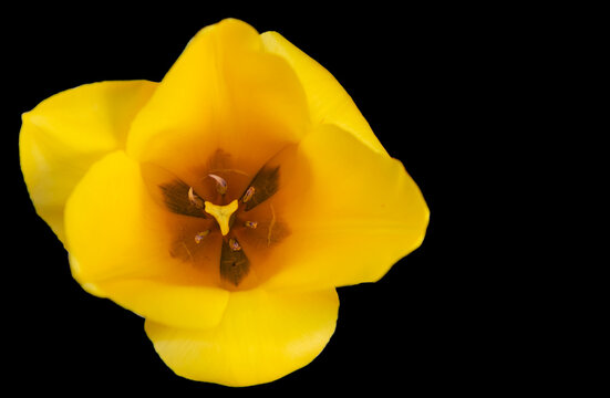 รูปภาพAnther – เลือกดูภาพถ่ายสต็อก เวกเตอร์ และวิดีโอ541,342 | Adobe Stock