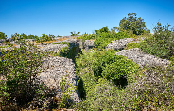 รูปภาพMajadas – เลือกดูภาพถ่ายสต็อก เวกเตอร์ และวิดีโอ182 | Adobe Stock