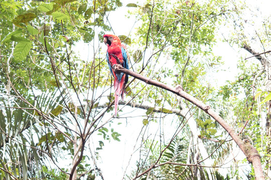 Parado-Bilder: Stock-Fotos & -Videos. | Adobe Stock