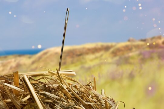 Needle In A Hay Stack Images – Browse 491 Stock Photos, Vectors, and ...