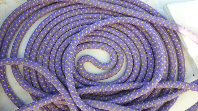 Tail-Rope Images – Browse 123 Stock Photos, Vectors, and Video | Adobe ...