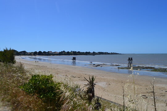 รูปภาพTharon – เลือกดูภาพถ่ายสต็อก เวกเตอร์ และวิดีโอ190 | Adobe Stock