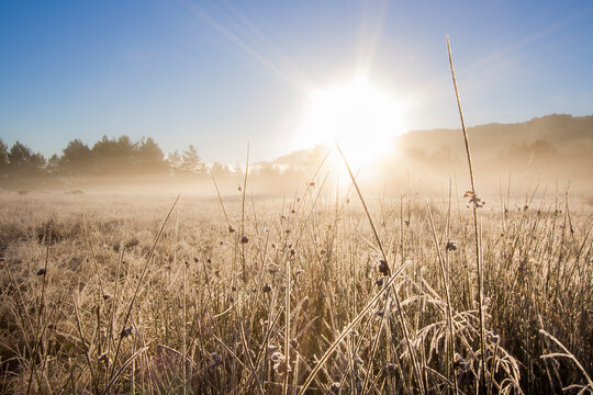 "Misty Field" Bilder – Durchsuchen 114 Archivfotos, Vektorgrafiken und ...