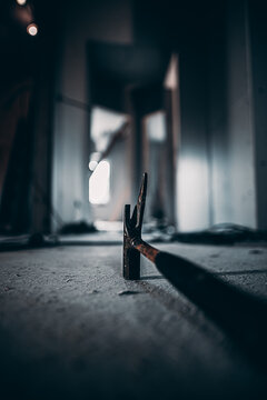 Gearbeitet Images – Browse 322 Stock Photos, Vectors, and Video | Adobe ...