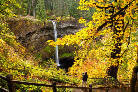 Organge Images – Browse 1,235 Stock Photos, Vectors, and Video | Adobe ...