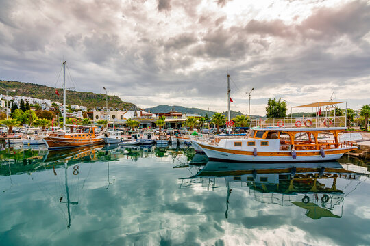 Gundogan-Bilder: Stock-Fotos & -Videos. | Adobe Stock