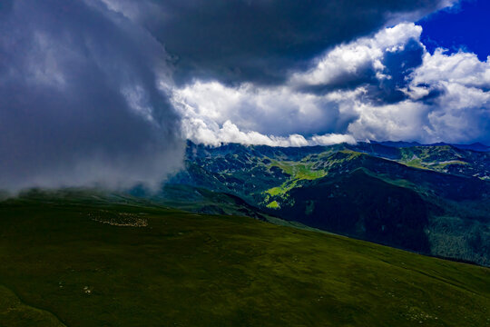 Transal Bilder – Durchsuchen 322 Archivfotos, Vektorgrafiken und Videos ...