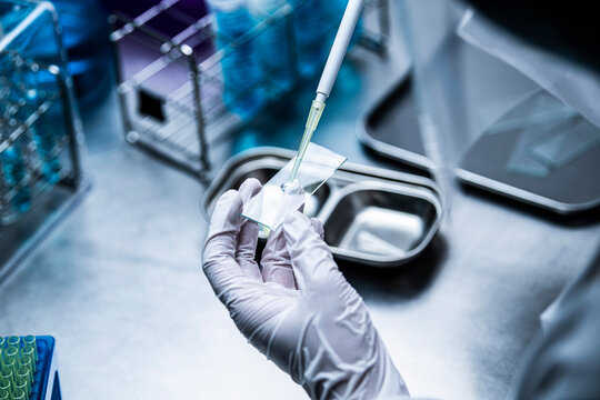 培養 Images – Browse 2,292 Stock Photos, Vectors, and Video | Adobe Stock