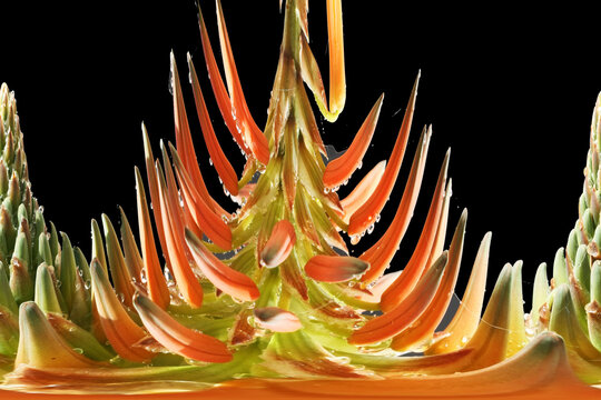 รูปภาพMagnoliopsida – เลือกดูภาพถ่ายสต็อก เวกเตอร์ และวิดีโอ7,914 ...