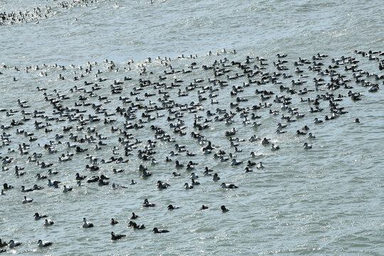 Versammeln Images – Browse 352 Stock Photos, Vectors, and Video | Adobe ...