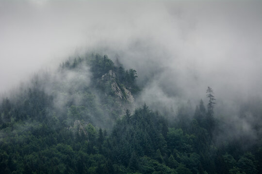 Cadaverin Bilder – Durchsuchen 94,356 Archivfotos, Vektorgrafiken und ...