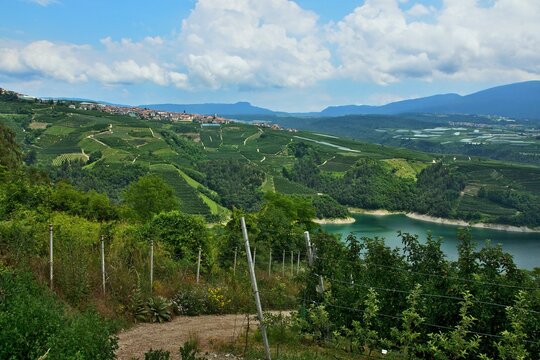 Revo Bilder – Durchsuchen 187 Archivfotos, Vektorgrafiken und Videos ...