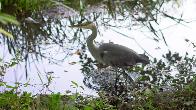 Erget Images – Browse 96 Stock Photos, Vectors, and Video | Adobe Stock