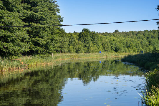 รูปภาพBioreserve – เลือกดูภาพถ่ายสต็อก เวกเตอร์ และวิดีโอ490,860 ...