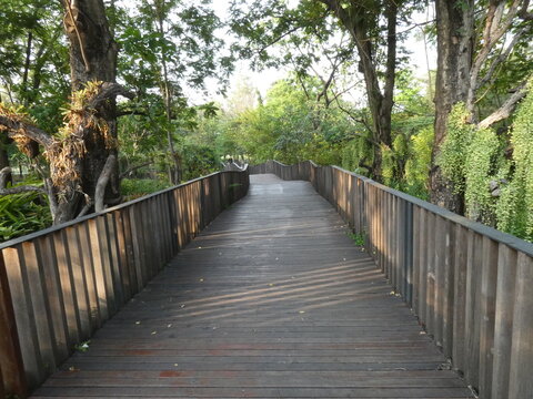 รูปภาพWalkways – เลือกดูภาพถ่ายสต็อก เวกเตอร์ และวิดีโอ634,501 | Adobe ...