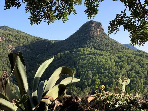 Preciosa Images – Browse 4,518 Stock Photos, Vectors, and Video | Adobe ...