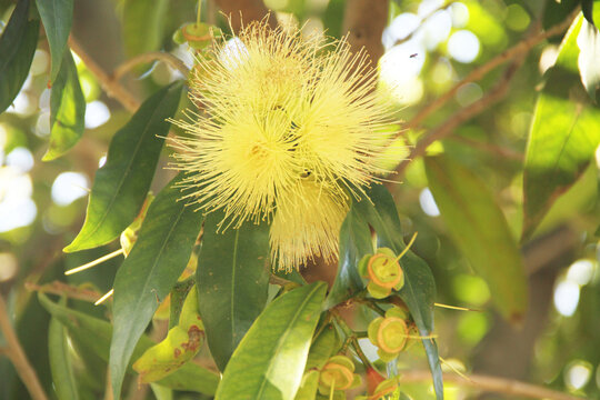รูปภาพJamalac – เลือกดูภาพถ่ายสต็อก เวกเตอร์ และวิดีโอ2,352 | Adobe Stock