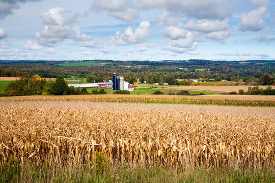 Free Farm Images – Browse 31,373 Free Stock Photos, Vectors, and Video ...