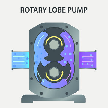 Rotary Vane Pump Animation