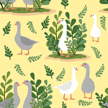 รูปภาพFowl-Run – เลือกดูภาพถ่ายสต็อก เวกเตอร์ และวิดีโอ374 | Adobe Stock