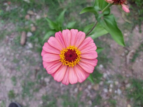 รูปภาพRosita – เลือกดูภาพถ่ายสต็อก เวกเตอร์ และวิดีโอ227 | Adobe Stock