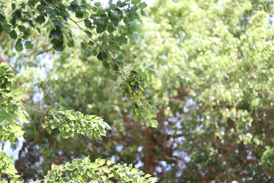 Senary Images – Browse 101 Stock Photos, Vectors, and Video | Adobe Stock