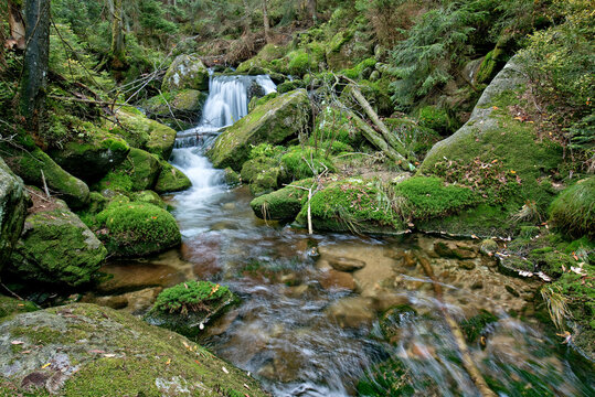 Strumyk Bilder – Durchsuchen 1,856 Archivfotos, Vektorgrafiken und ...