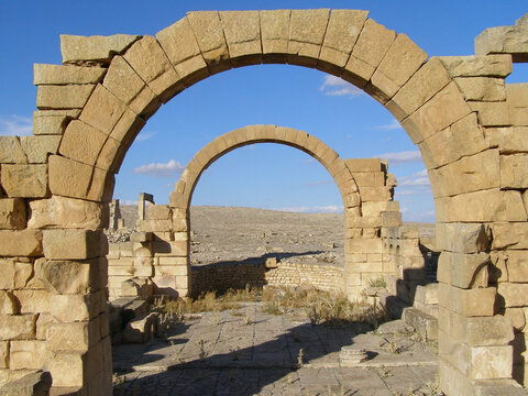 Haidra Images – Browse 34 Stock Photos, Vectors, and Video | Adobe Stock