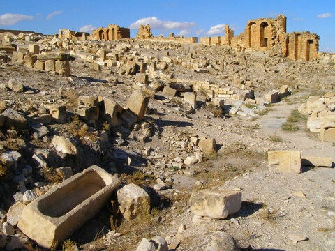 Haidra Images – Browse 34 Stock Photos, Vectors, and Video | Adobe Stock