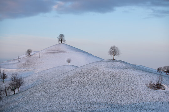 Hirzel Bilder – Durchsuchen 219 Archivfotos, Vektorgrafiken und Videos ...