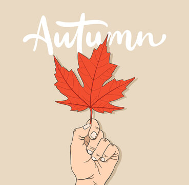 Spes.id photos, images, assets | Adobe Stock