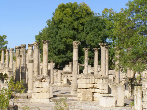 Maktar Images – Browse 58 Stock Photos, Vectors, and Video | Adobe Stock