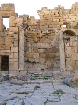 Haidra Images – Browse 34 Stock Photos, Vectors, and Video | Adobe Stock