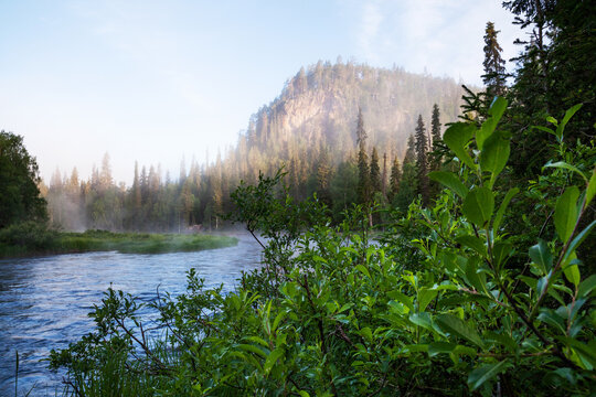 Kitka 이미지 – 찾아보기 114 스톡 사진, 벡터 및 비디오 | Adobe Stock