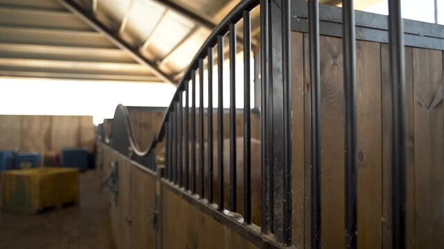 "Horse Stables" Images – Browse 441 Stock Photos, Vectors, and Video ...