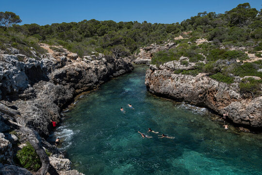 43 BEST Beltran IMAGES, STOCK PHOTOS & VECTORS | Adobe Stock