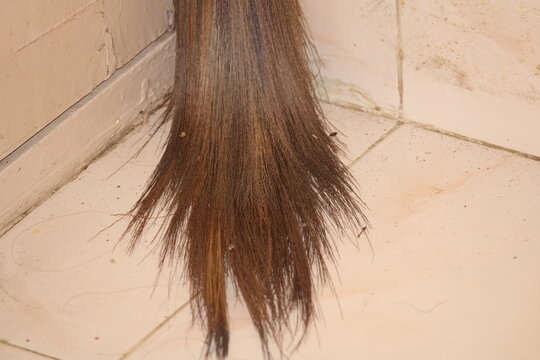 Jhadu Images – Browse 10 Stock Photos, Vectors, and Video | Adobe Stock