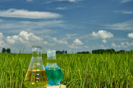 Agrochemistry Images – Browse 981 Stock Photos, Vectors, and Video ...